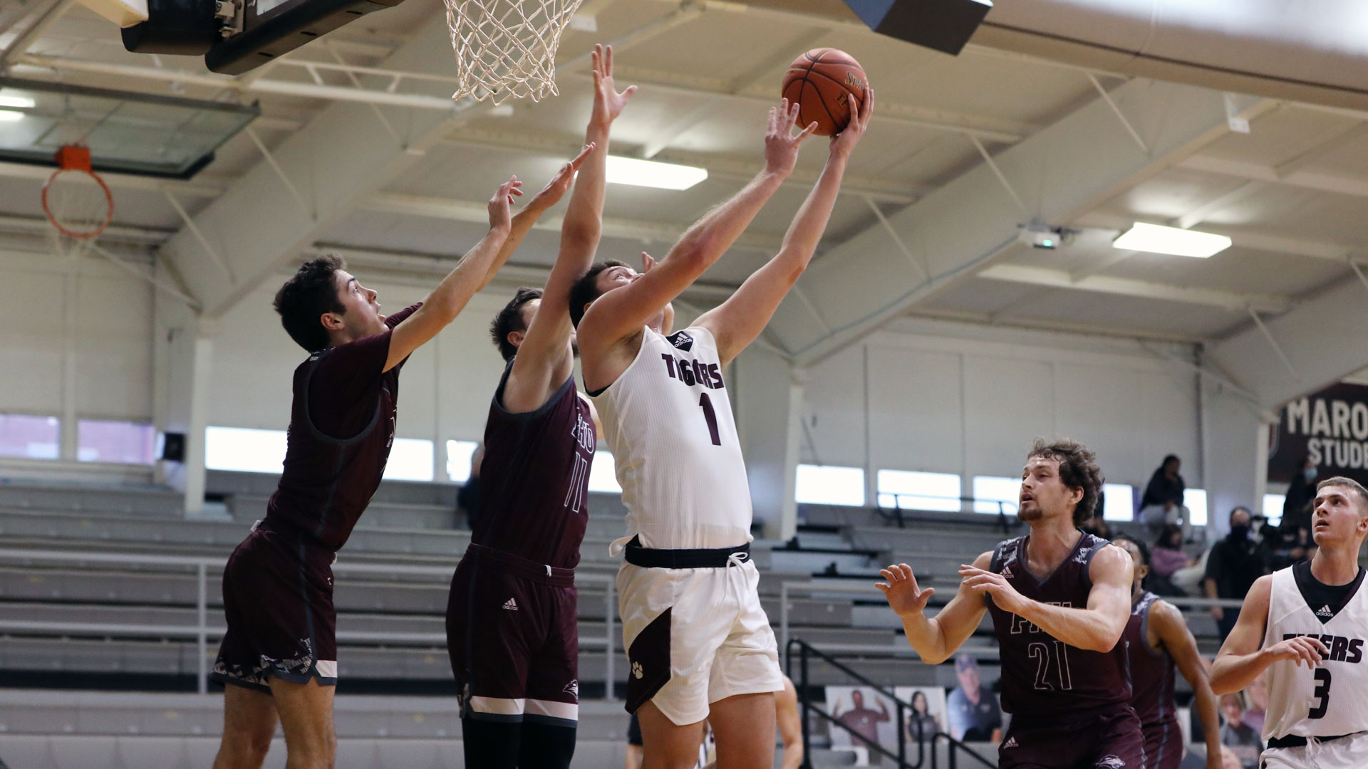 Ross Ryan - Men's Basketball - Campbellsville University Athletics