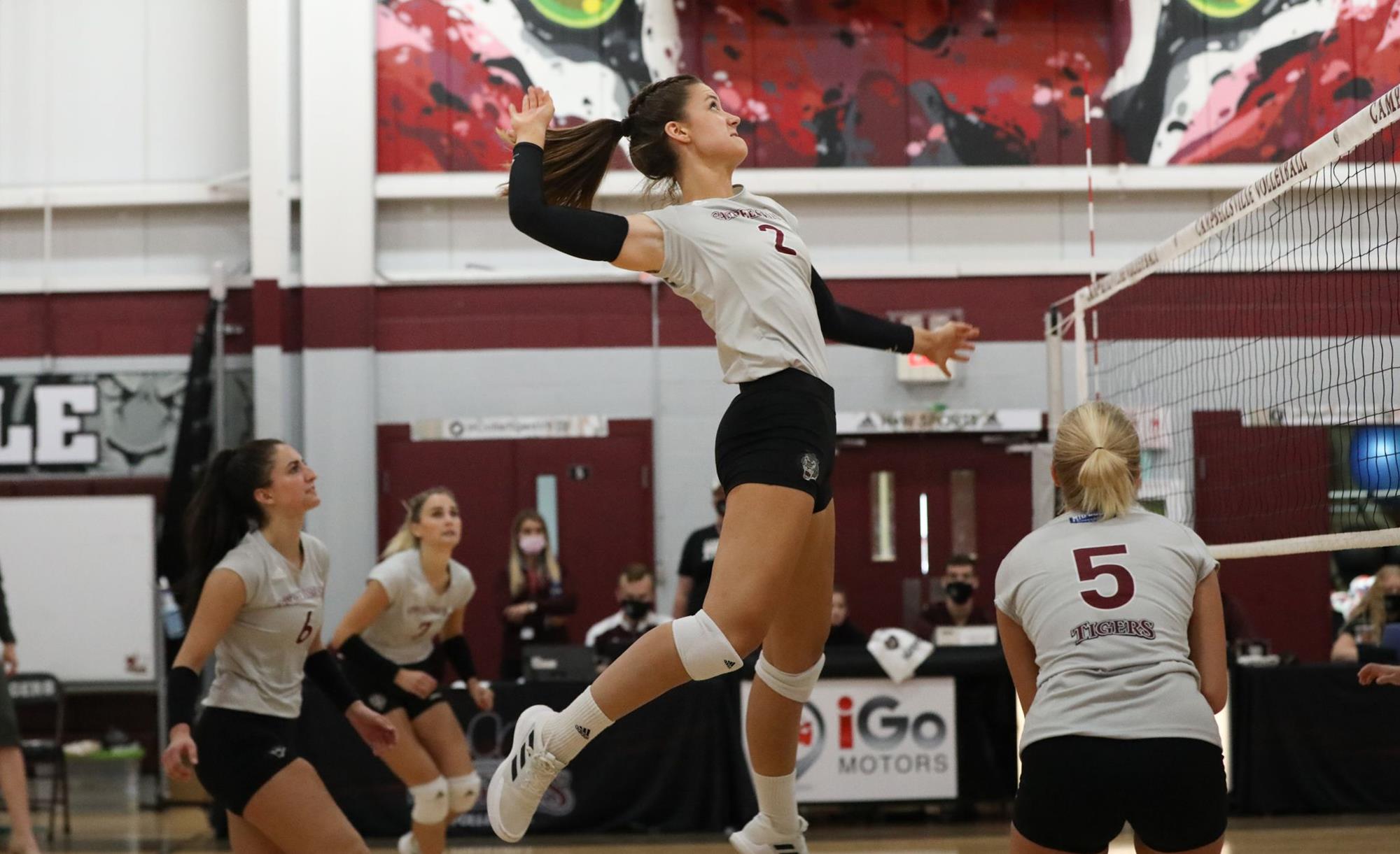 Alina Zellin - Women's Volleyball - Campbellsville University Athletics