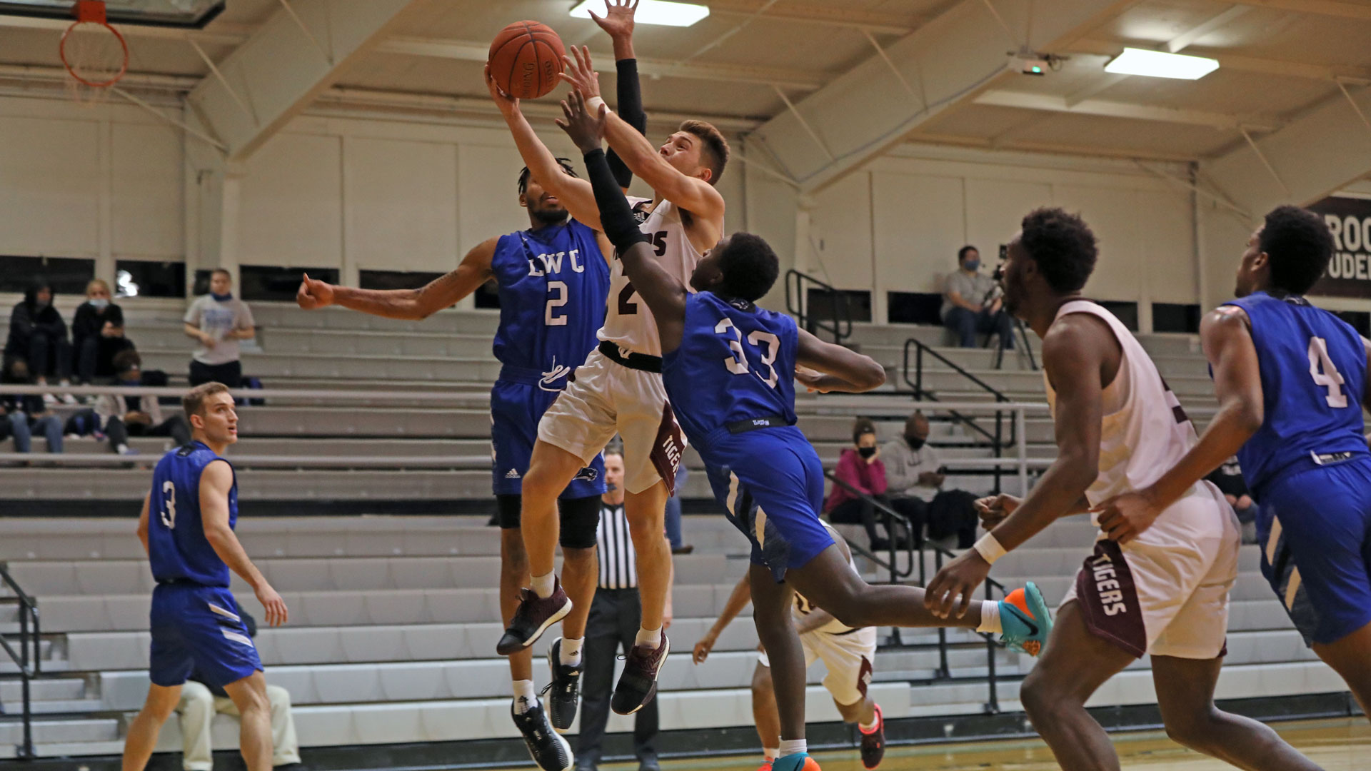 Jacob King - Men's Basketball - Campbellsville University Athletics
