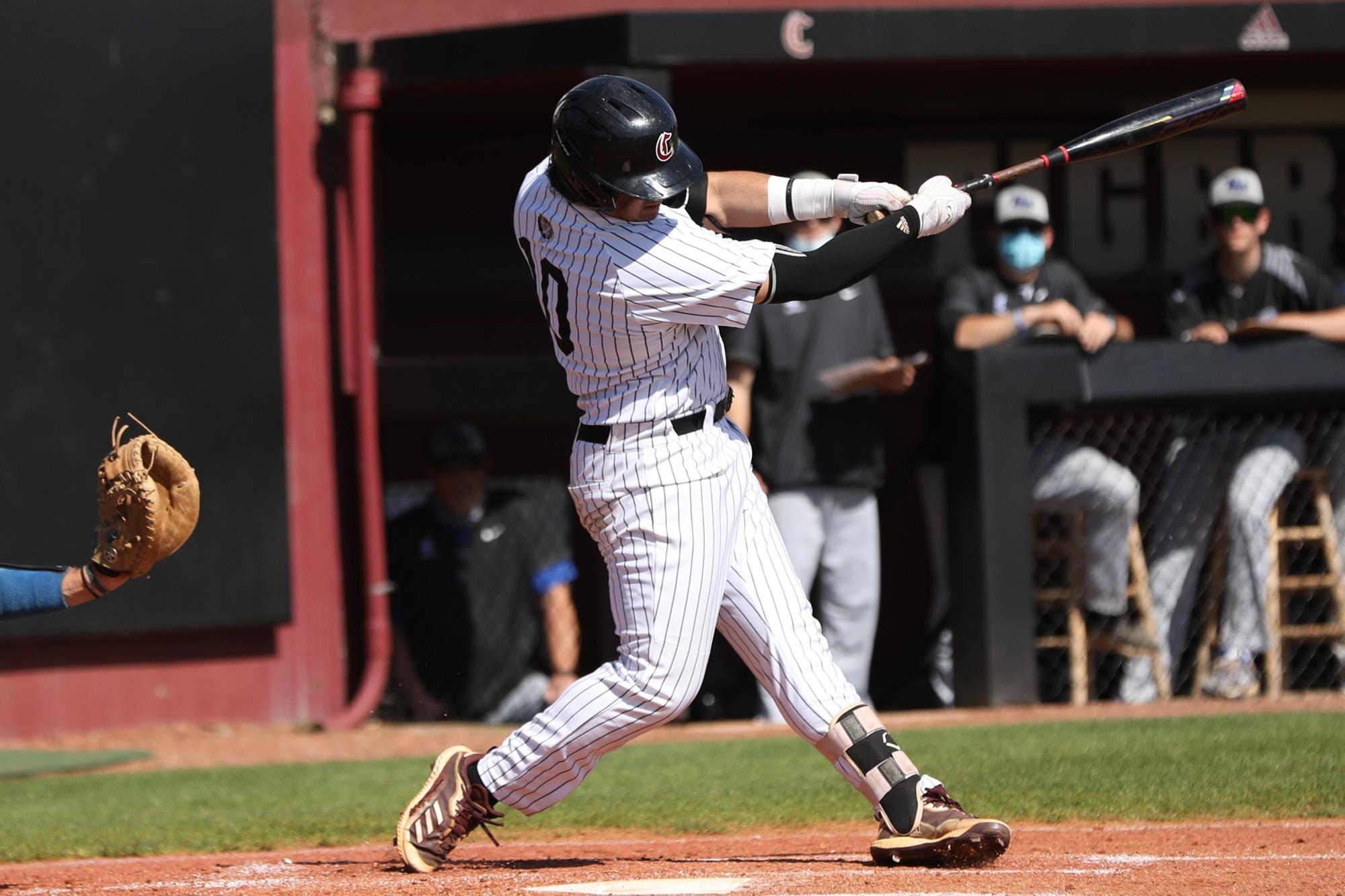 Noah Amenta - Baseball - Campbellsville University Athletics