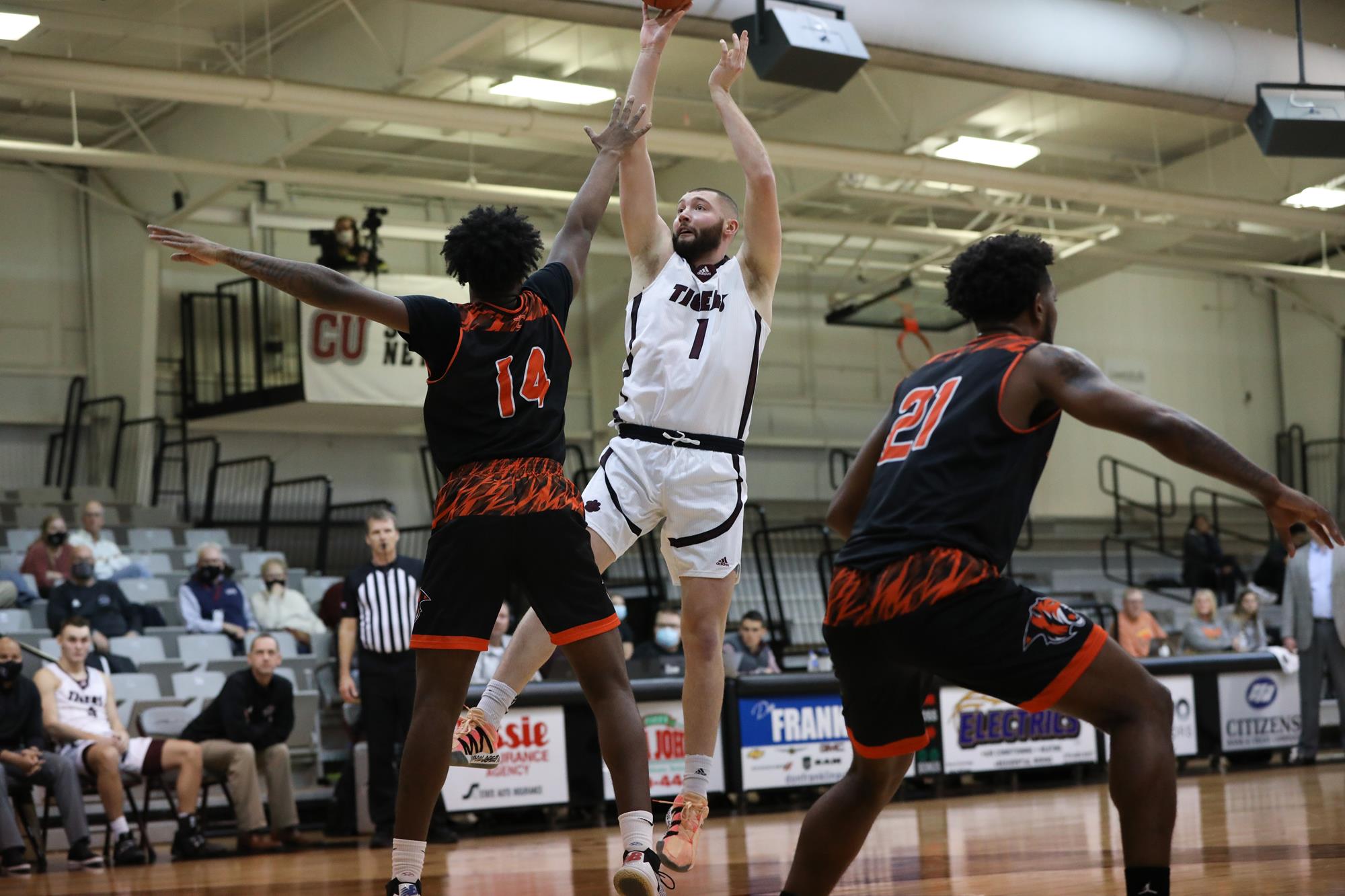 Ross Ryan - Men's Basketball - Campbellsville University Athletics