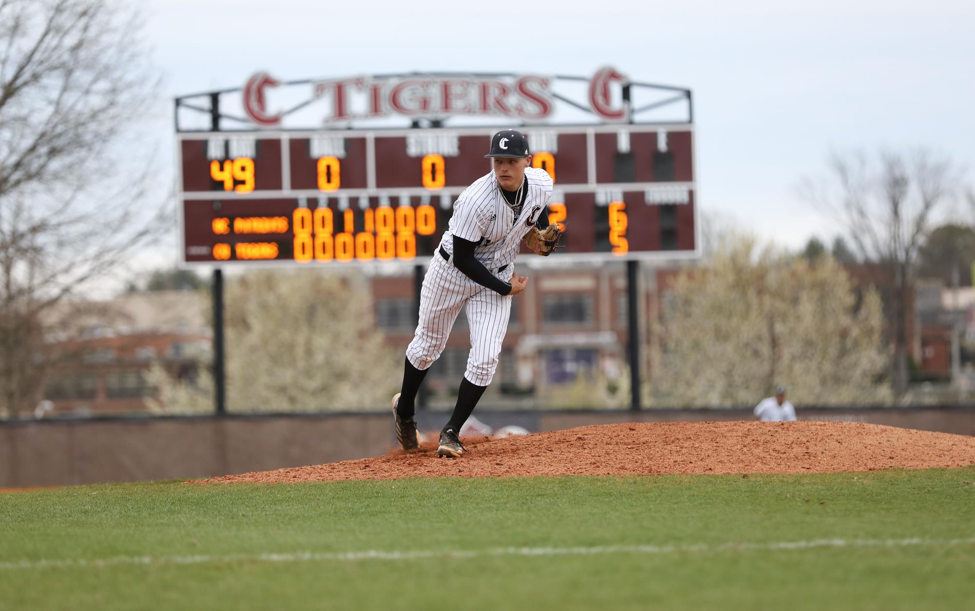 Chad McCann - Baseball - Campbellsville University Athletics