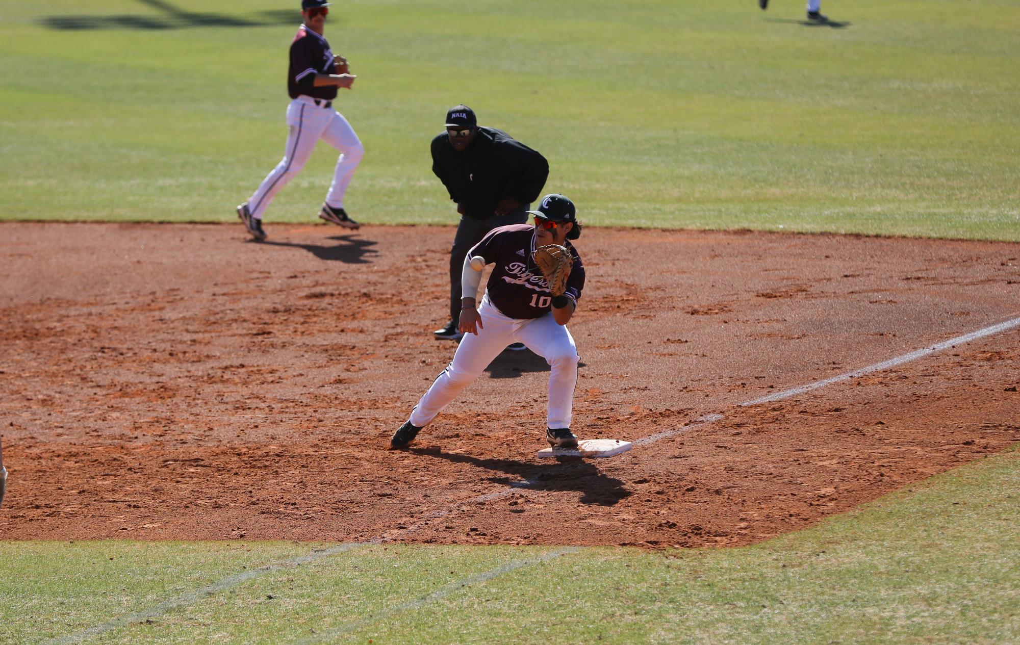 Noah Amenta - Baseball - Campbellsville University Athletics