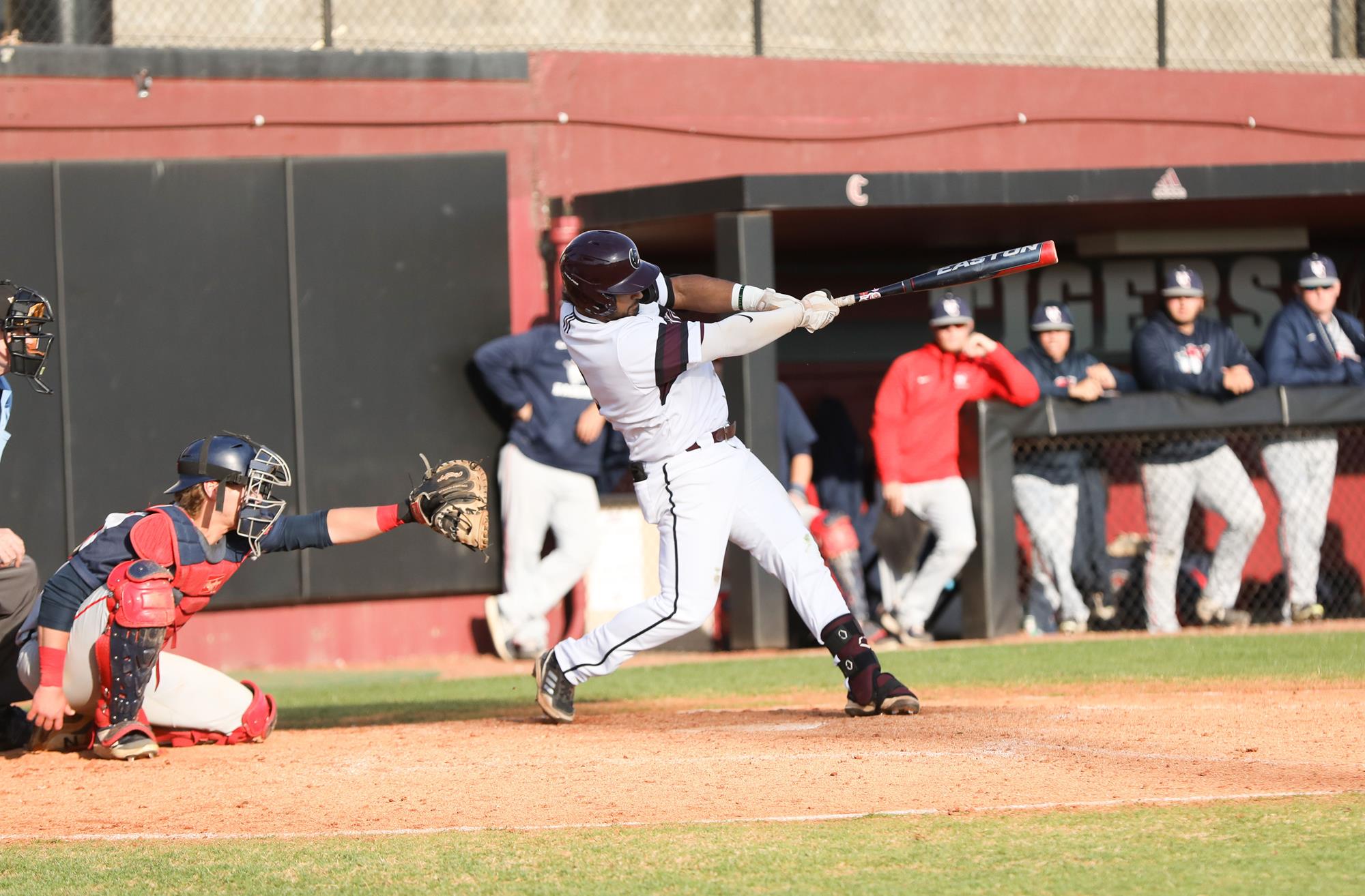 Cameron Castaneda - Baseball - Campbellsville University Athletics
