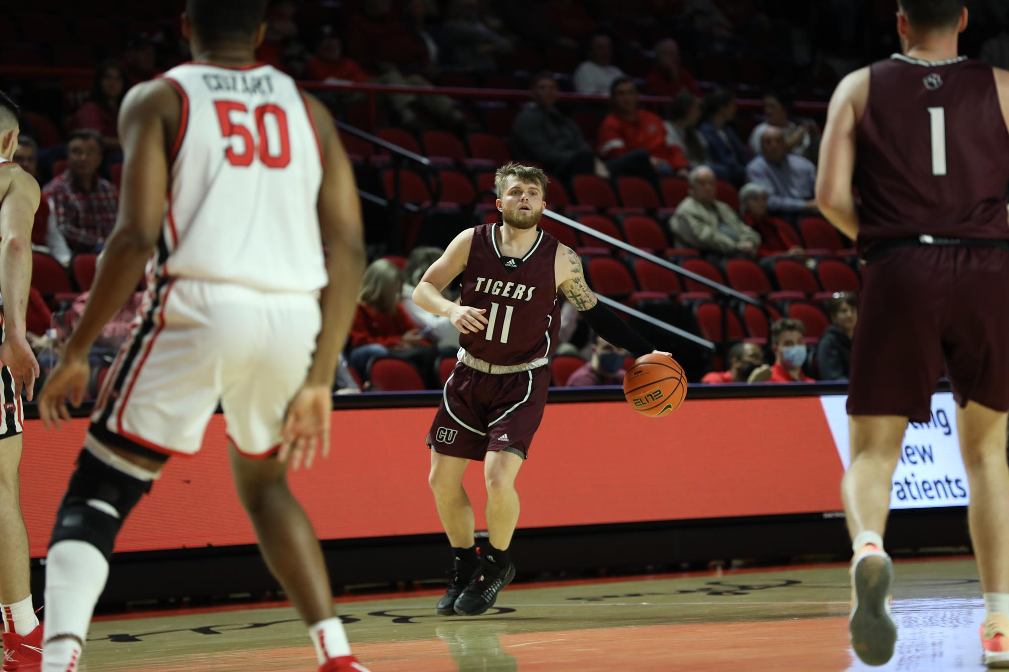 Cameron Willis - Men's Basketball - Campbellsville University Athletics