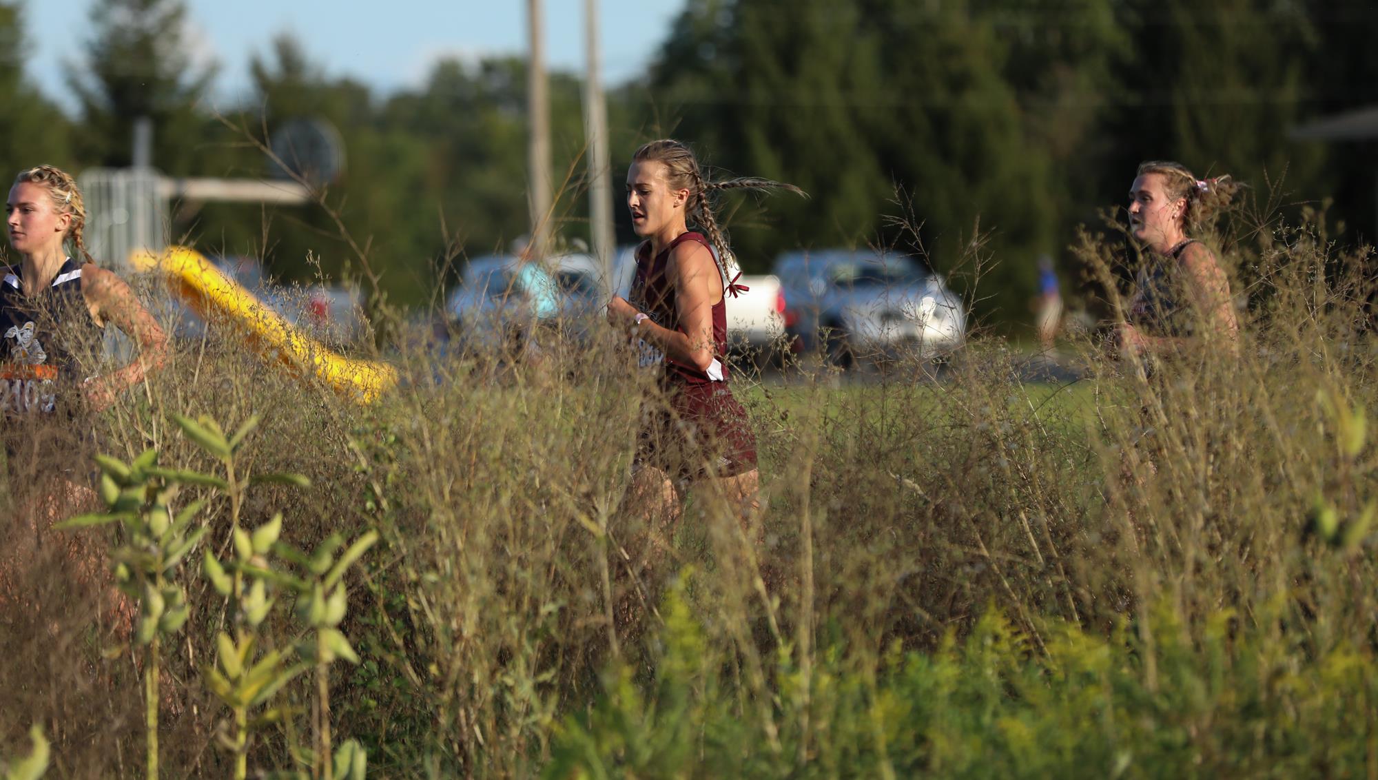 Hailey Shank - Women's Cross Country - Campbellsville University Athletics