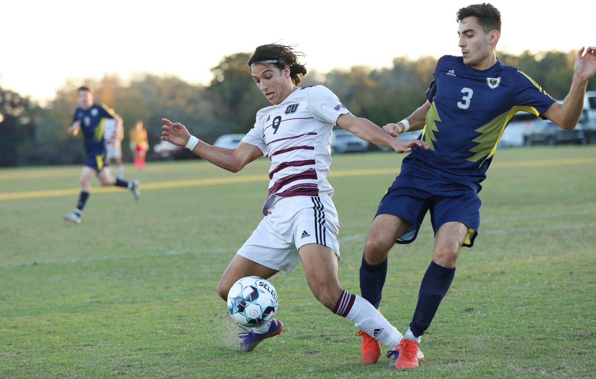 Sebastiano Musu - Men's Soccer - Campbellsville University Athletics