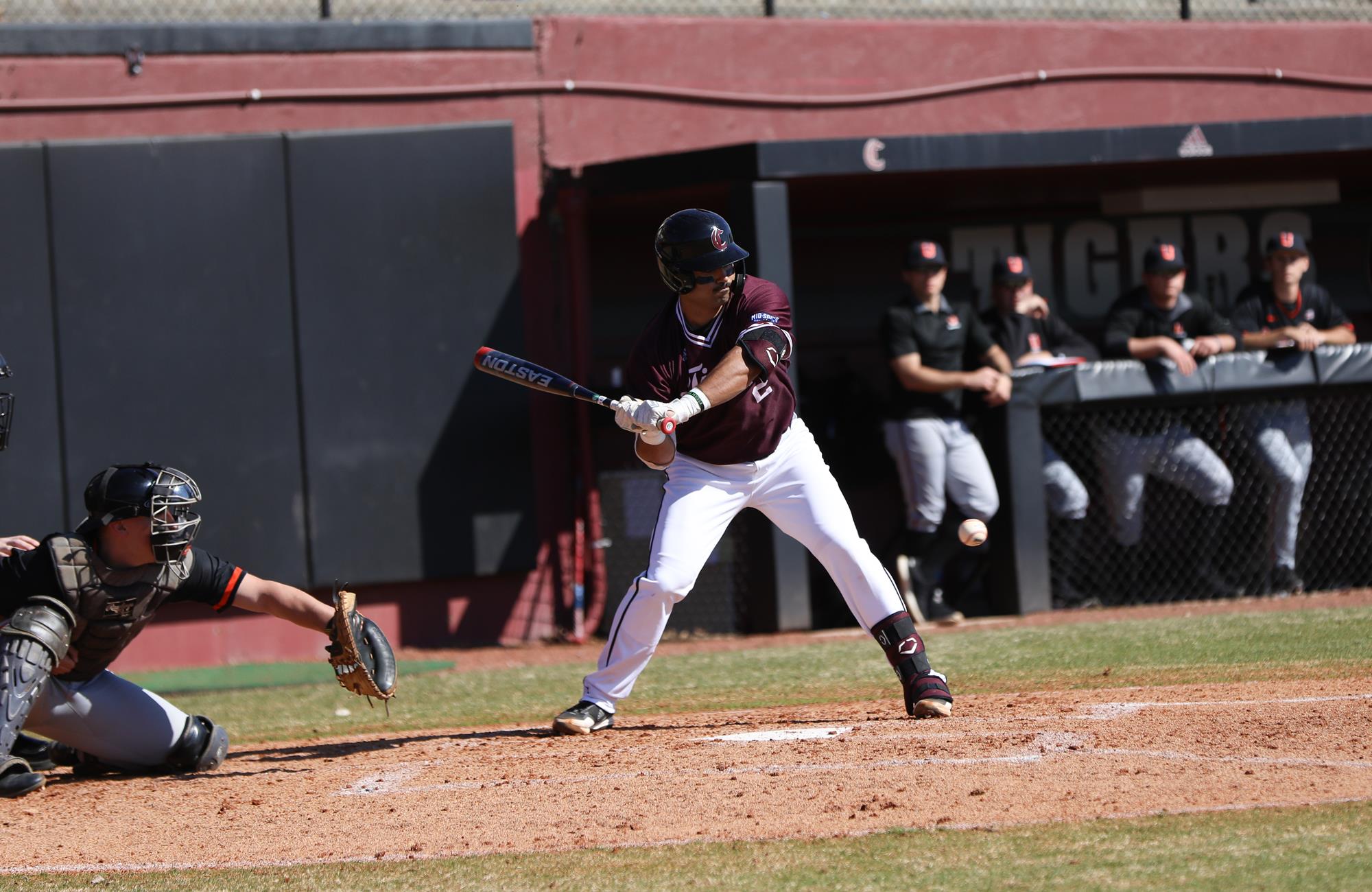 Cameron Castaneda - Baseball - Campbellsville University Athletics