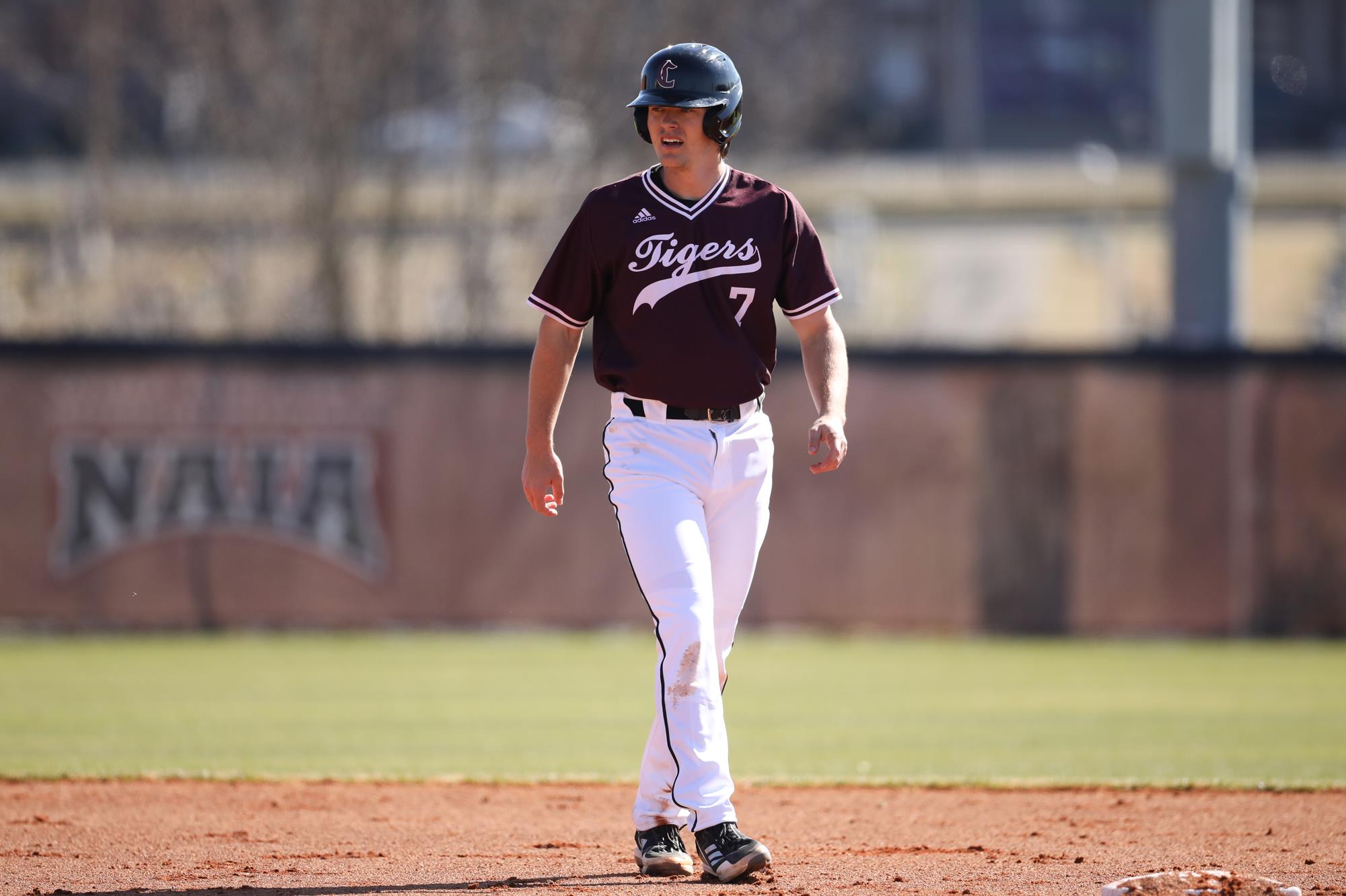 Logan Verble - Baseball - Campbellsville University Athletics