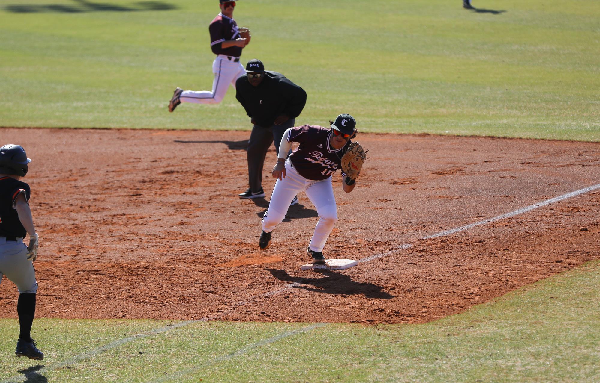 Noah Amenta - Baseball - Campbellsville University Athletics