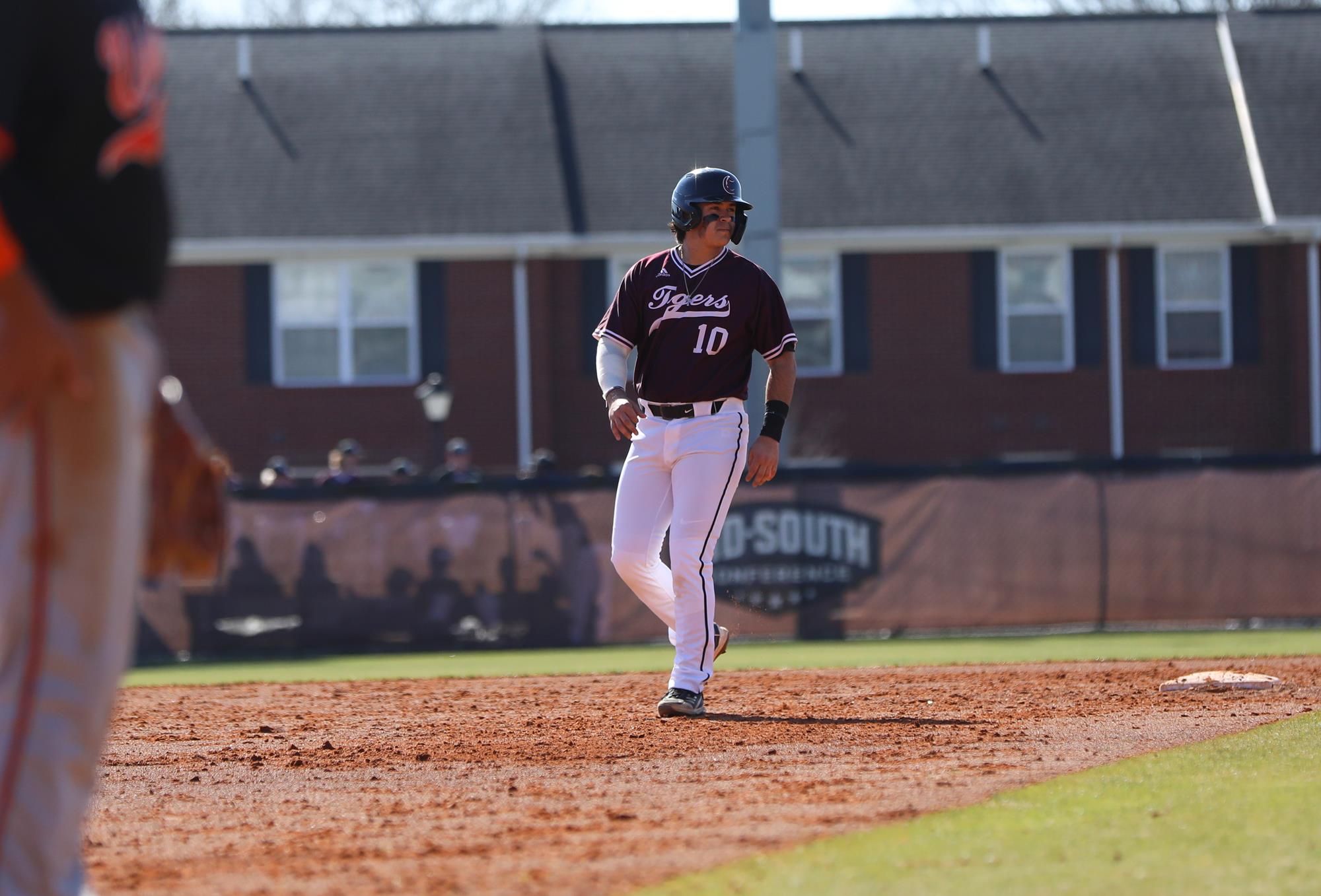 Noah Amenta - Baseball - Campbellsville University Athletics