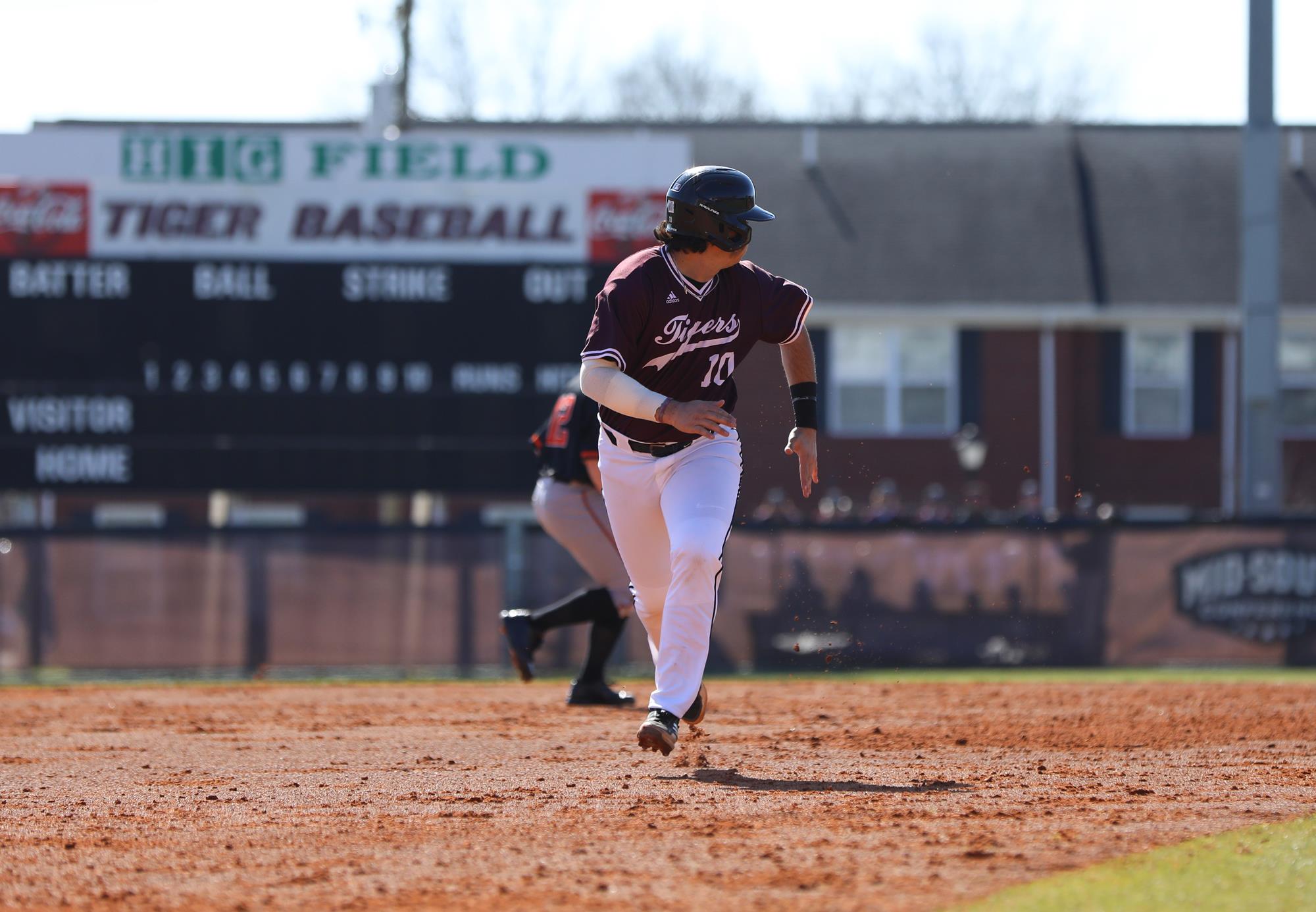 Noah Amenta - Baseball - Campbellsville University Athletics