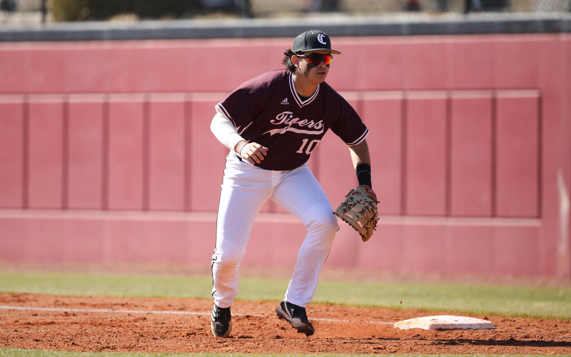 Noah Amenta - Baseball - Campbellsville University Athletics