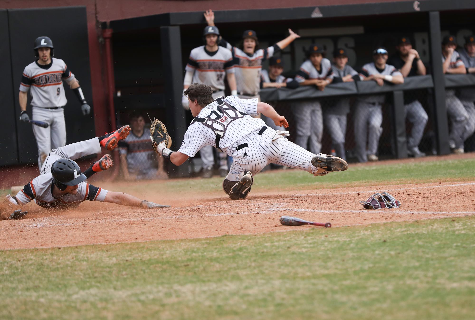 Tyler Belcher - Baseball - Campbellsville University Athletics