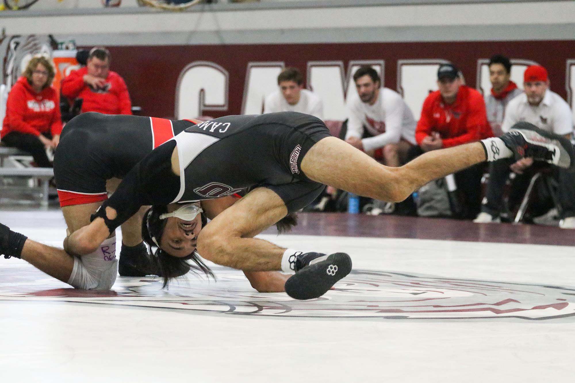 Dawson Show - Men's Wrestling - Campbellsville University Athletics