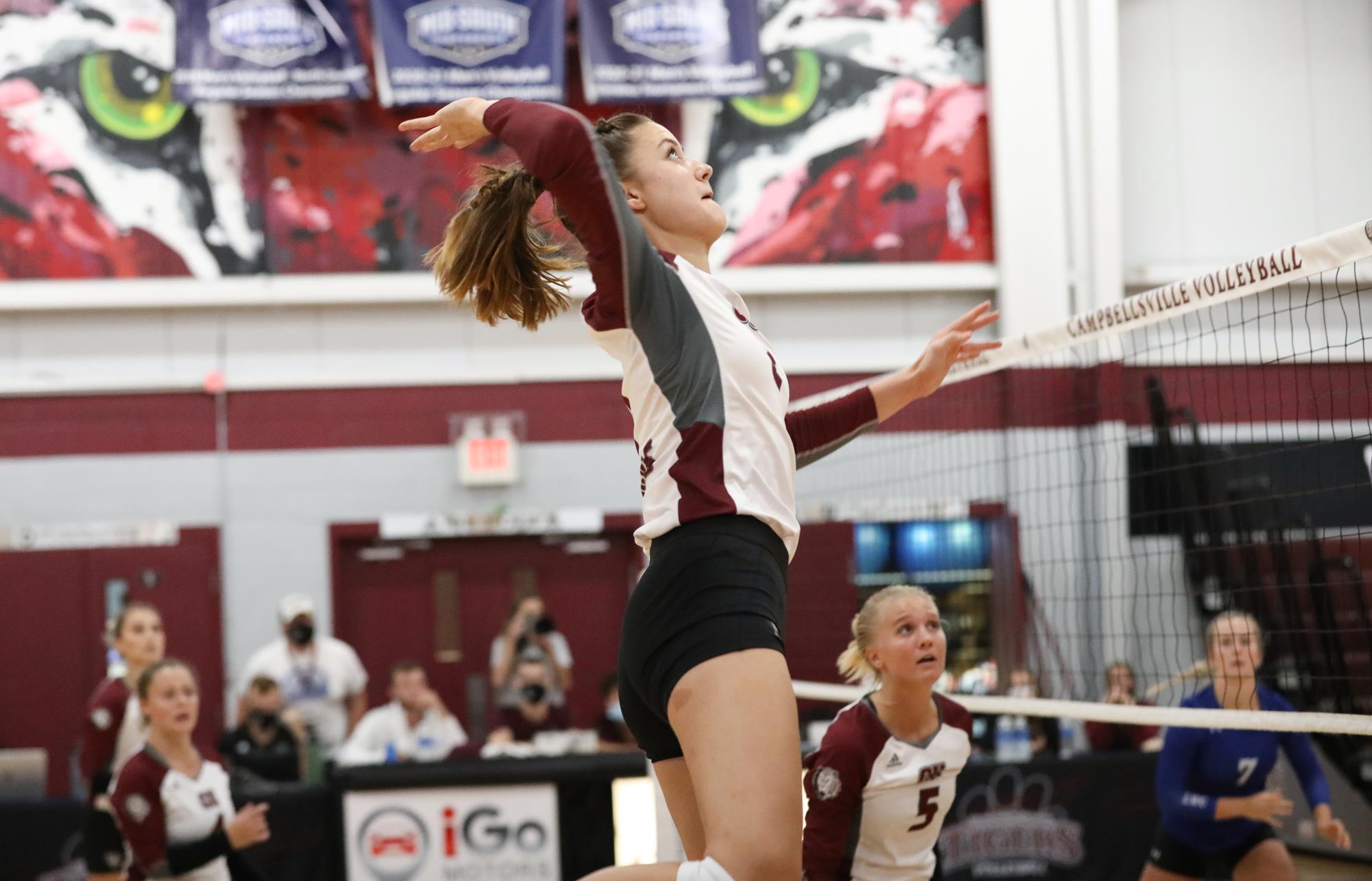 Alina Zellin - Women's Volleyball - Campbellsville University Athletics