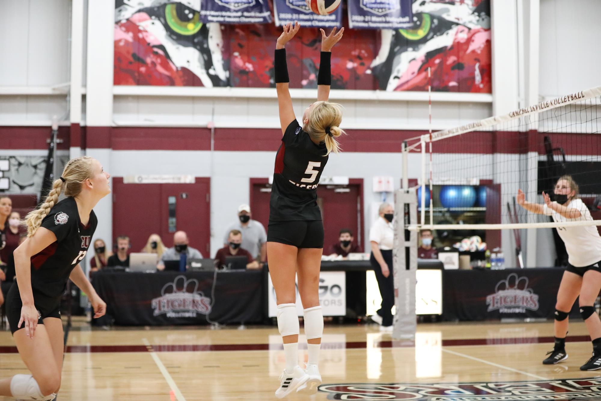 Paige Merrick - Women's Volleyball - Campbellsville University Athletics