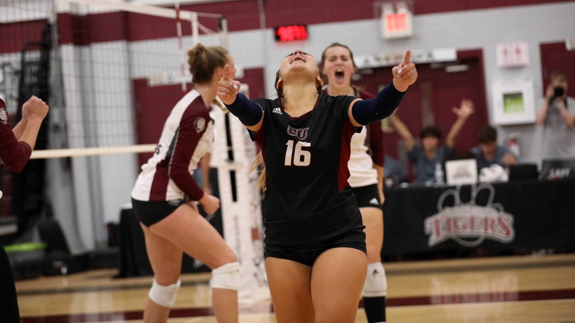 Andrea Laboy - Women's Volleyball - Campbellsville University Athletics