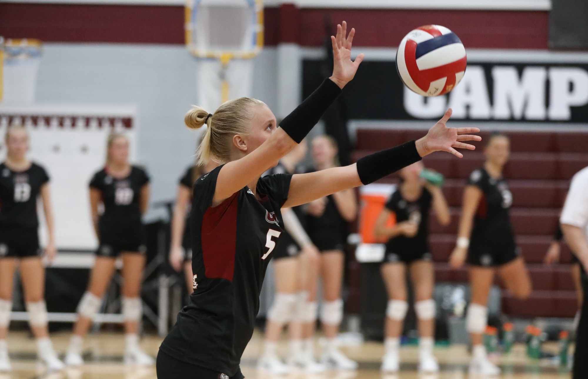 Paige Merrick - Women's Volleyball - Campbellsville University Athletics