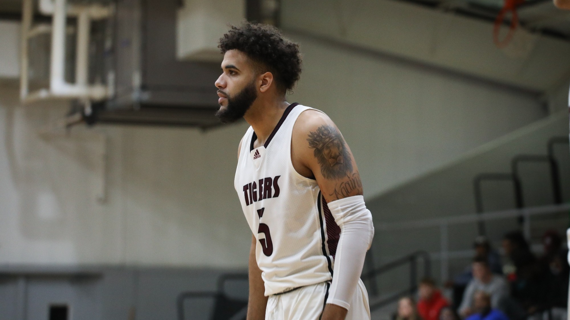 Harding's career-high 24 points bring the Tigers a New Year's Eve win ...