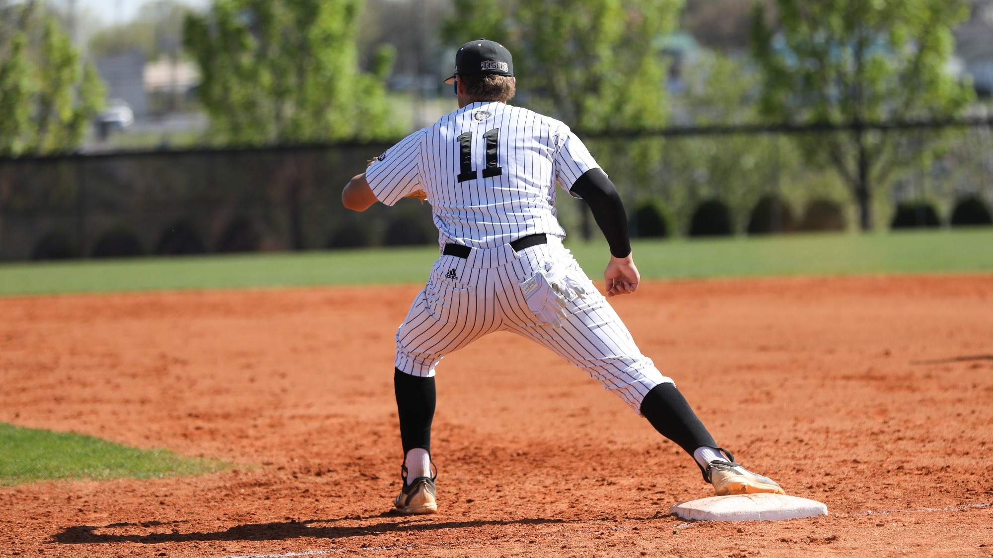 Chad McCann - Baseball - Campbellsville University Athletics