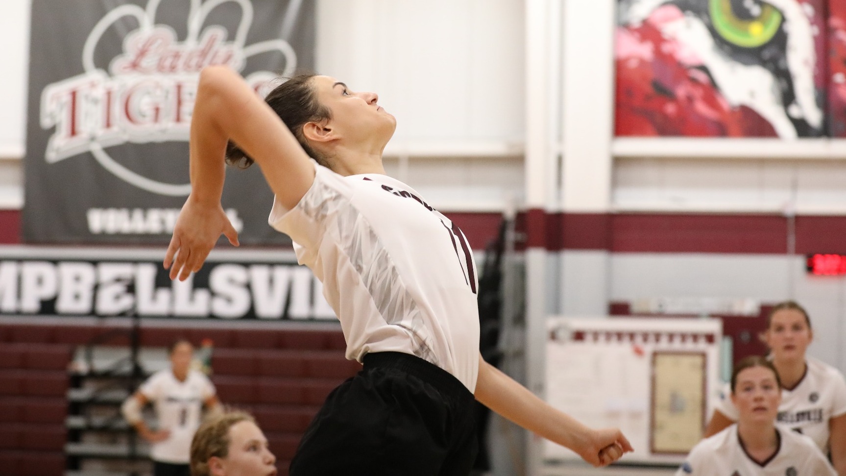 Tigers drop two hotly contested matches on first day at Vipers Sports ...