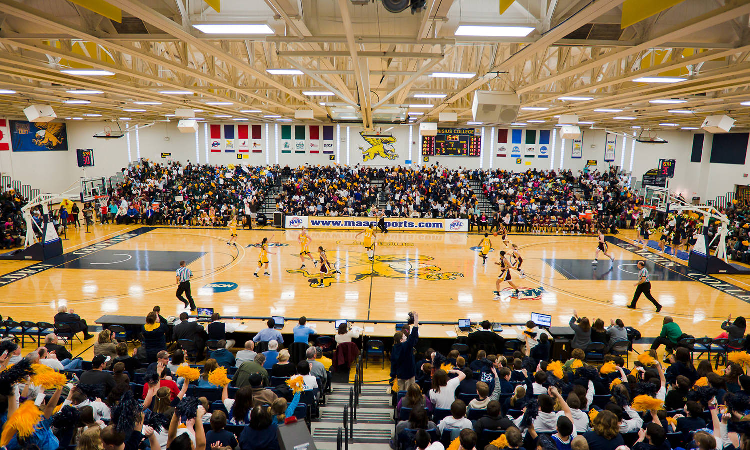 Women's Hoops Starts MAAC Play Friday On Kid's Day - Canisius ...