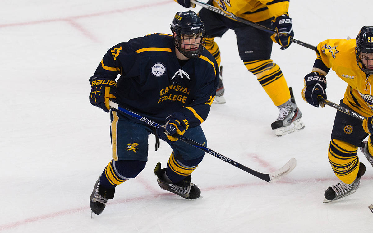 Miller Highlights Griffs? All-Academic Selections - Canisius University ...