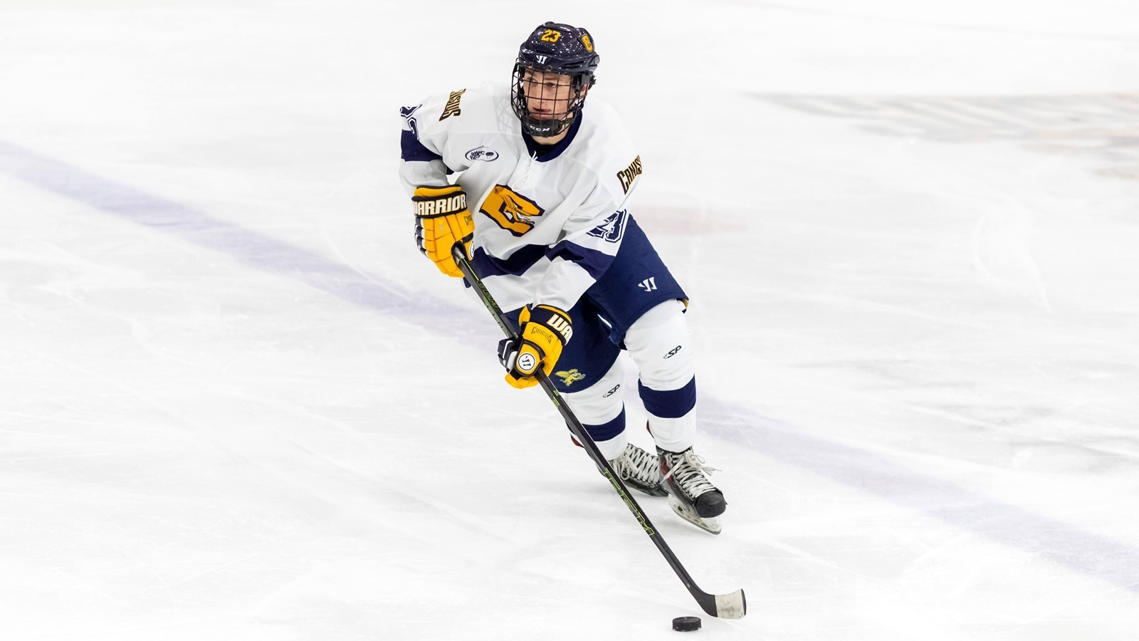 Casey Jerry - Ice Hockey - Canisius University Athletics