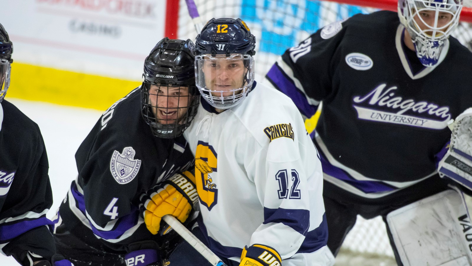 Mike Sabatini - Ice Hockey - Canisius University Athletics