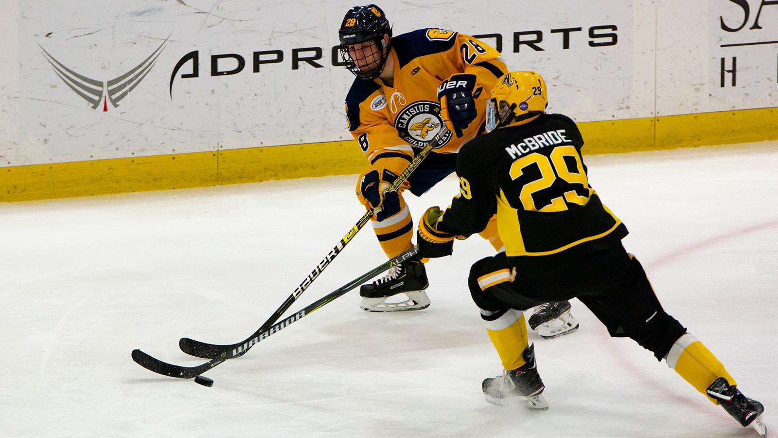 Lee Lapid - Ice Hockey - Canisius University Athletics