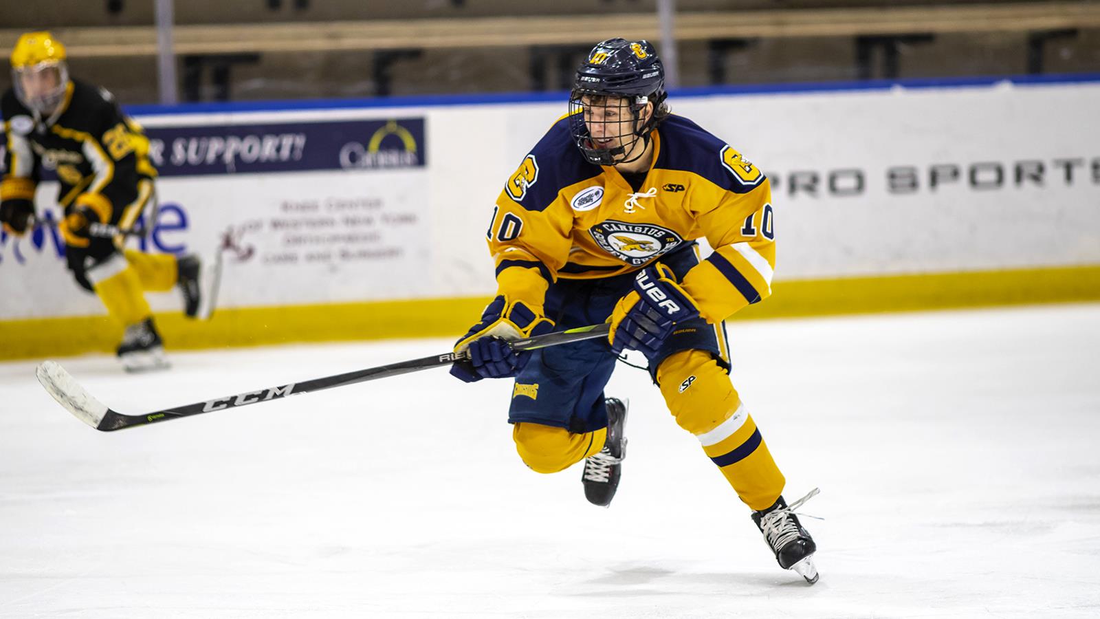 Matt McLeod - Ice Hockey - Canisius University Athletics