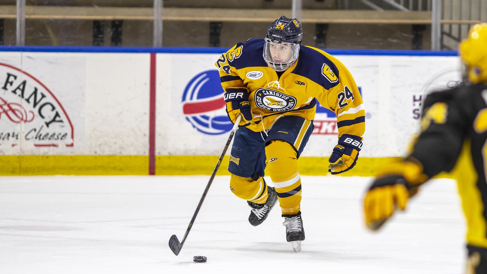 Matt Stief - Ice Hockey - Canisius University Athletics