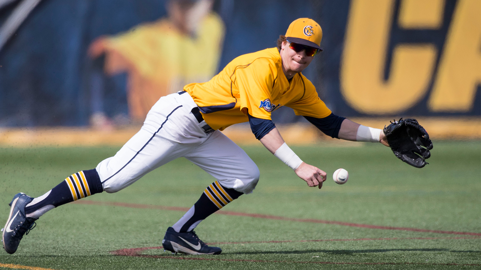 Conner Morro - Baseball - Canisius University Athletics