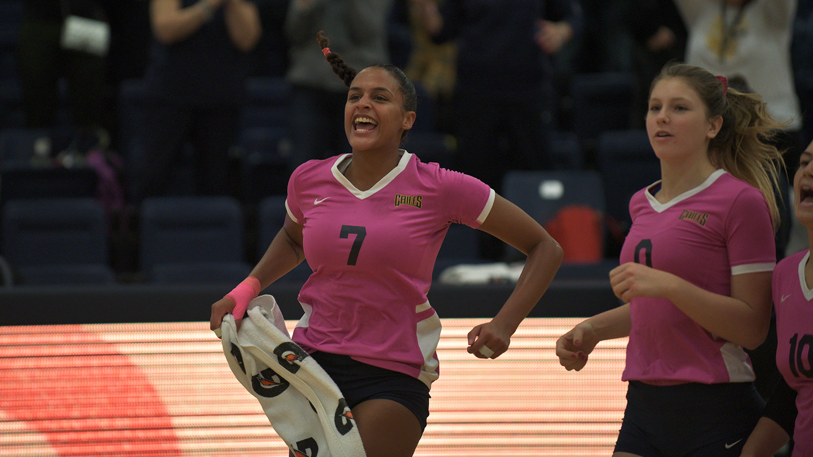 Gabrielle Darnaby - Volleyball - Canisius University Athletics