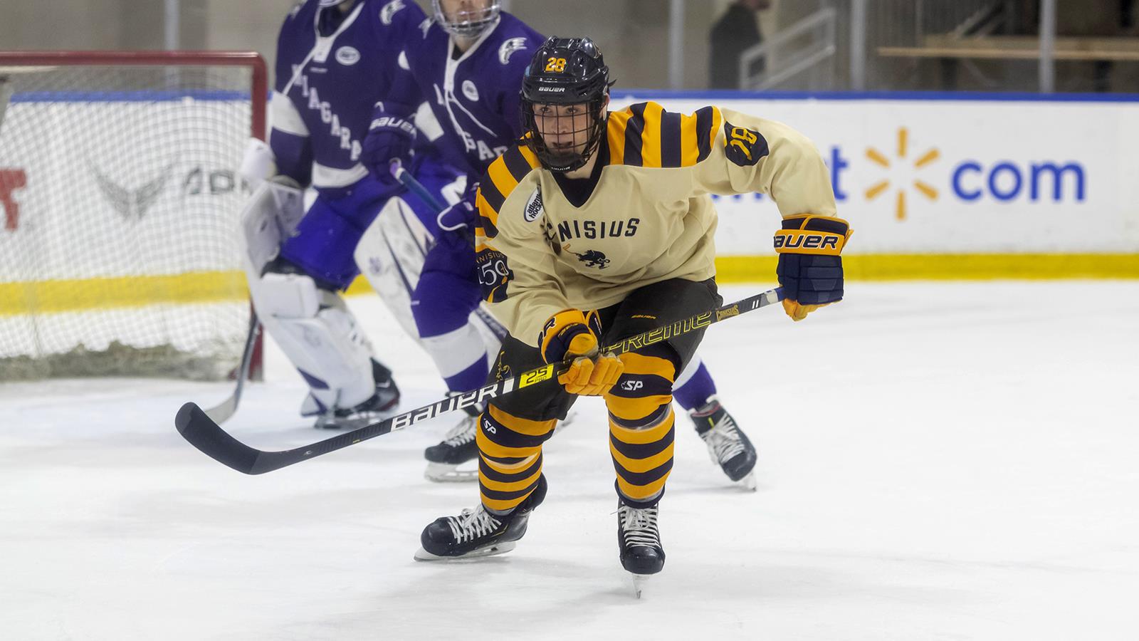 Lee Lapid - Ice Hockey - Canisius University Athletics