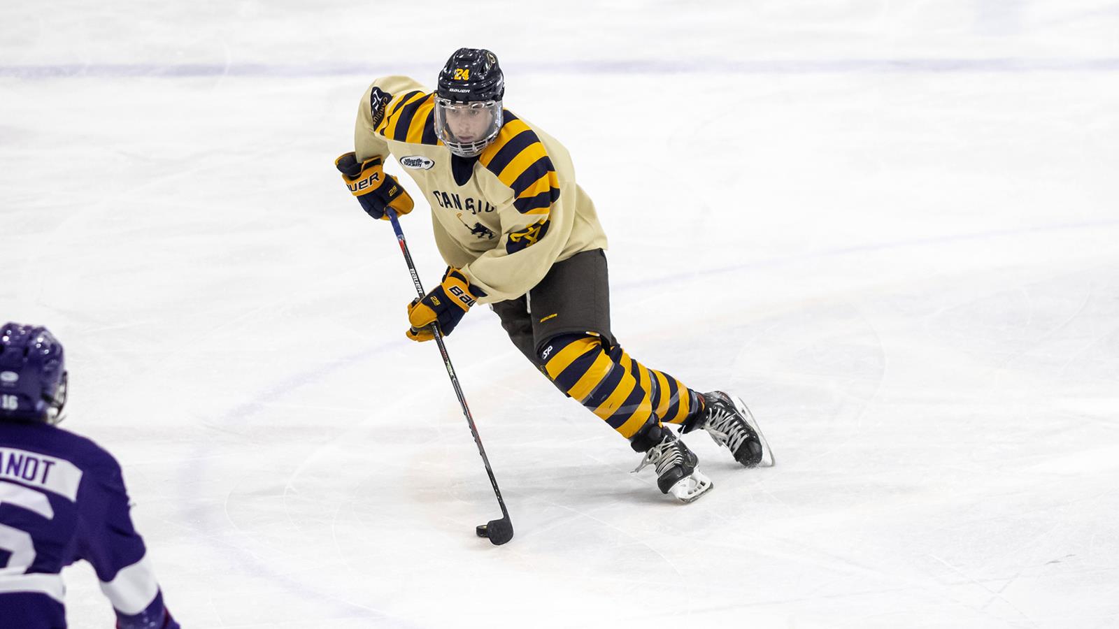 Matt Stief - Ice Hockey - Canisius University Athletics