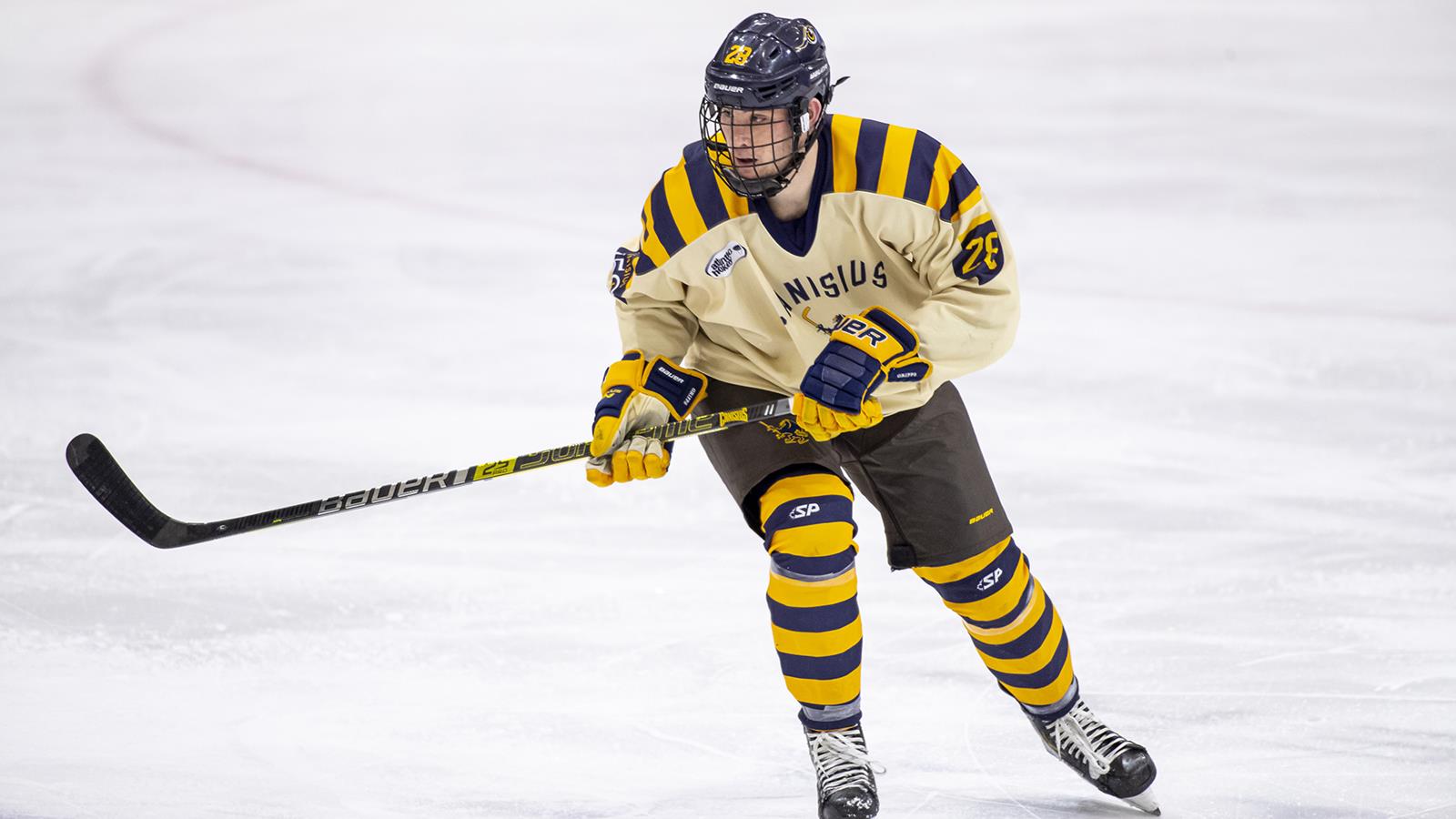 Lee Lapid - Ice Hockey - Canisius University Athletics