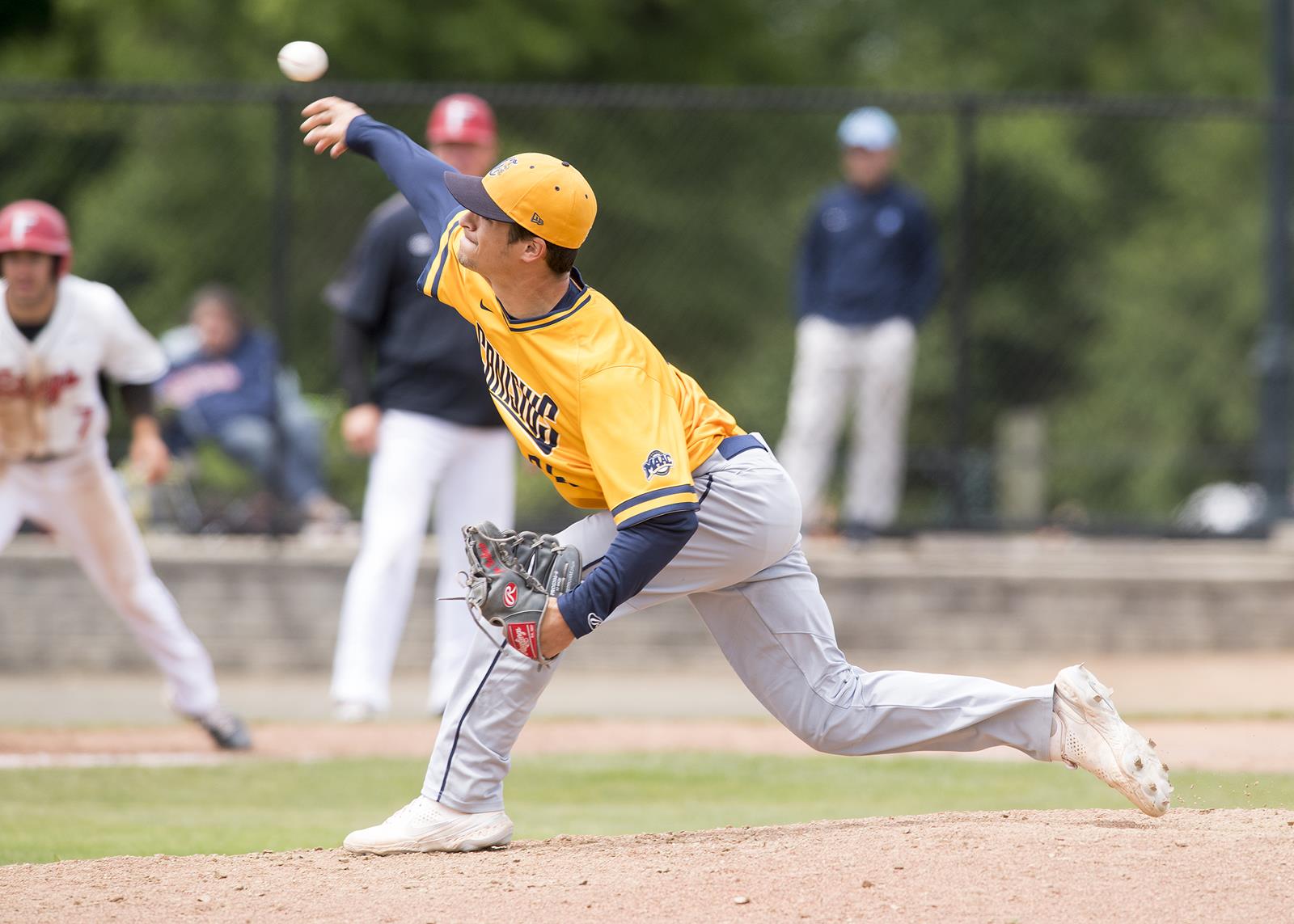 Joe Barberio - Baseball - Canisius University Athletics
