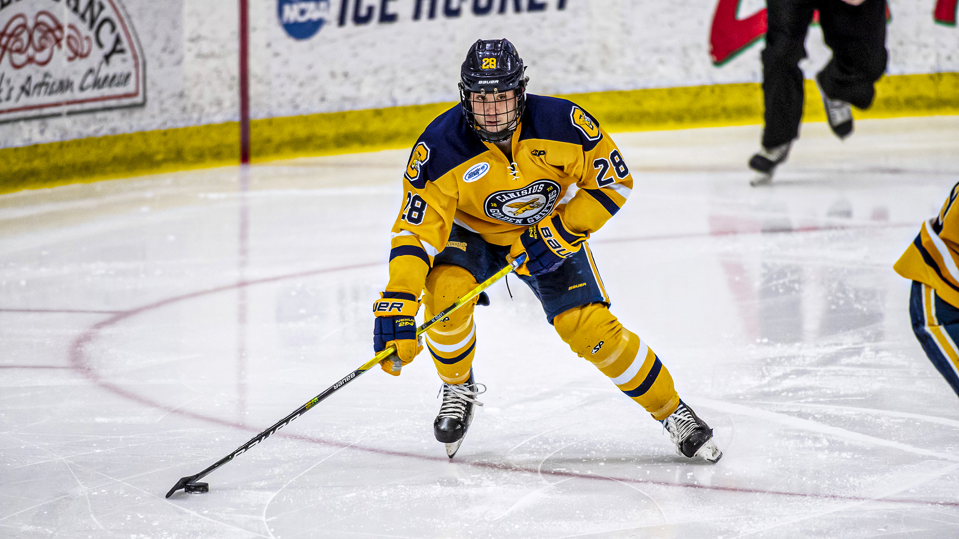 Lee Lapid - Ice Hockey - Canisius University Athletics