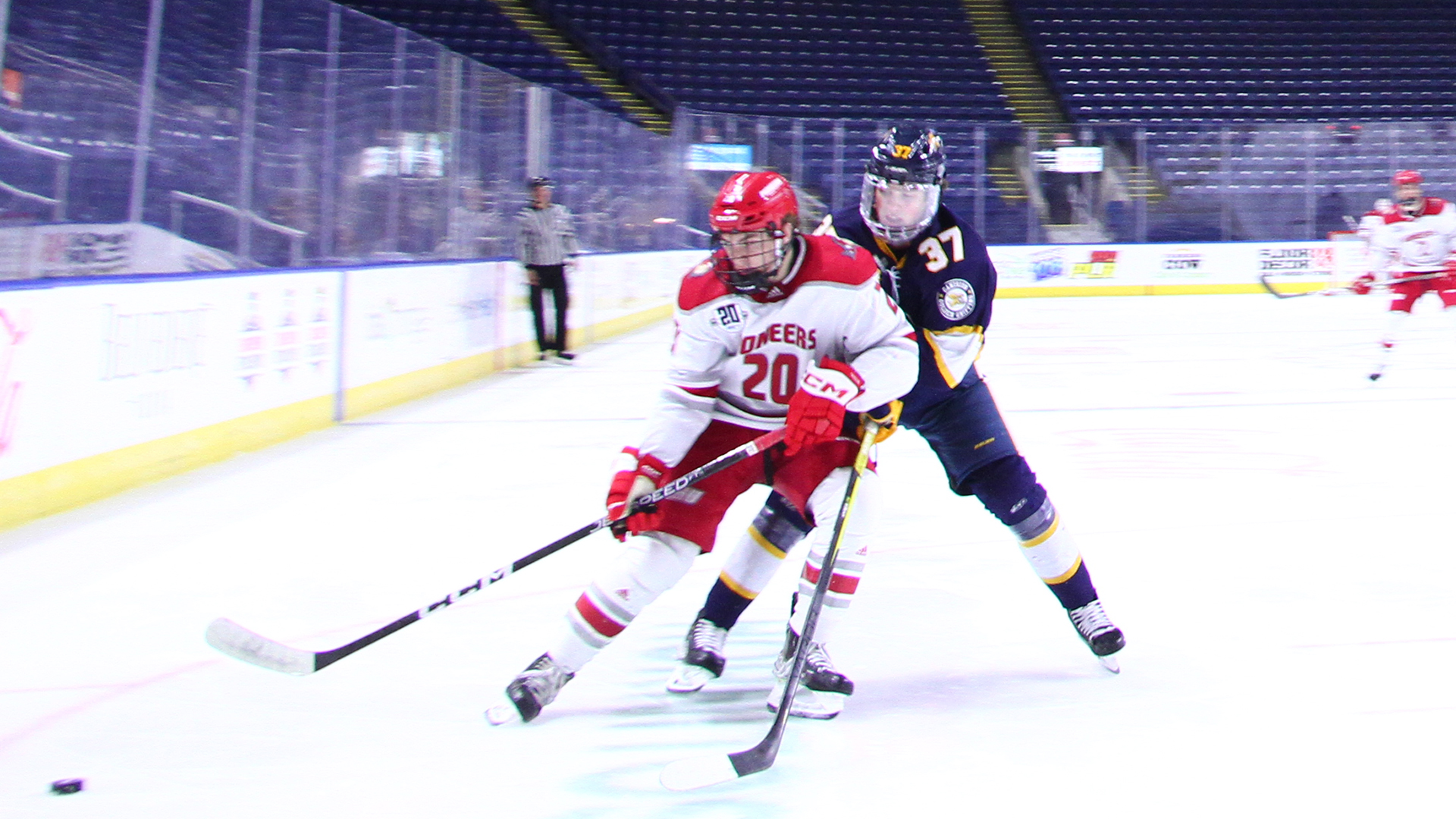Late Goal Dooms Hockey at Sacred Heart - Canisius University Athletics