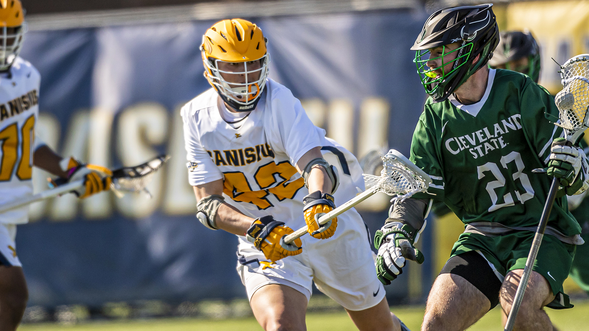 Chance Cook - Men's Lacrosse - Canisius University Athletics