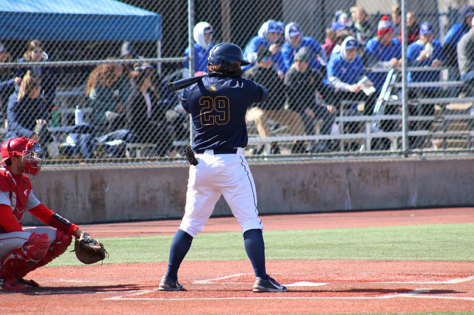 Pitching, Offense Lead Niagara to Victory Over Baseball - Canisius ...