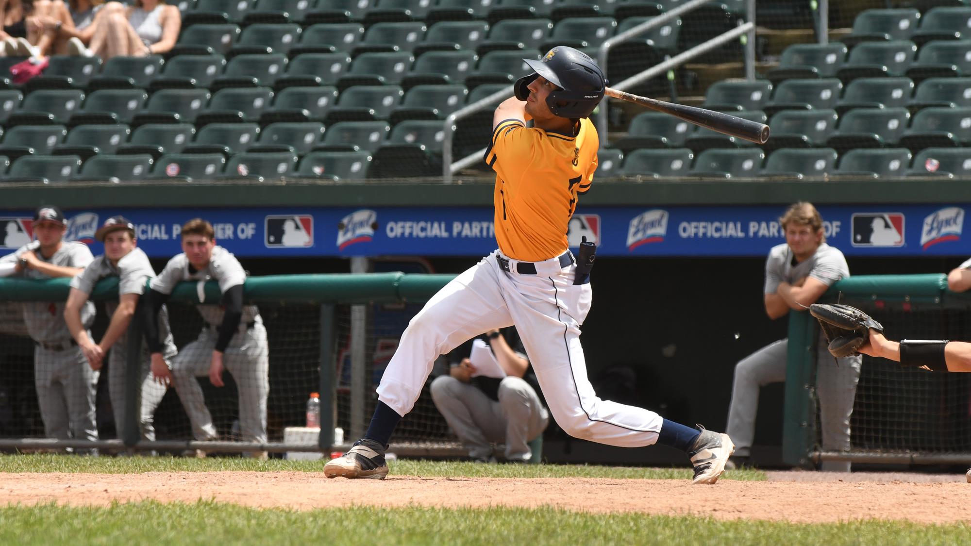 Mike Steffan - Baseball - Canisius University Athletics