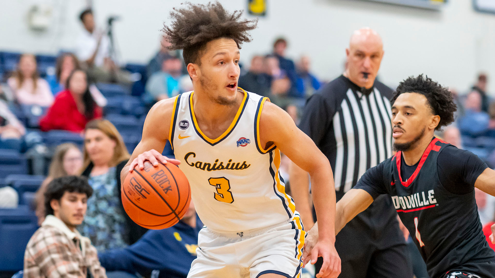 Cam Palesse - Men's Basketball - Canisius University Athletics