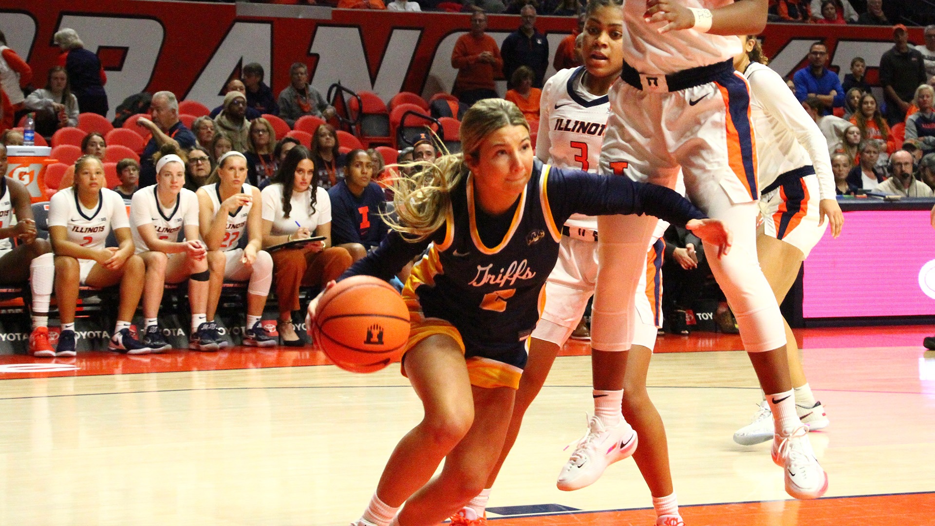 Mackenzie Amalia - Women's Basketball - Canisius University Athletics