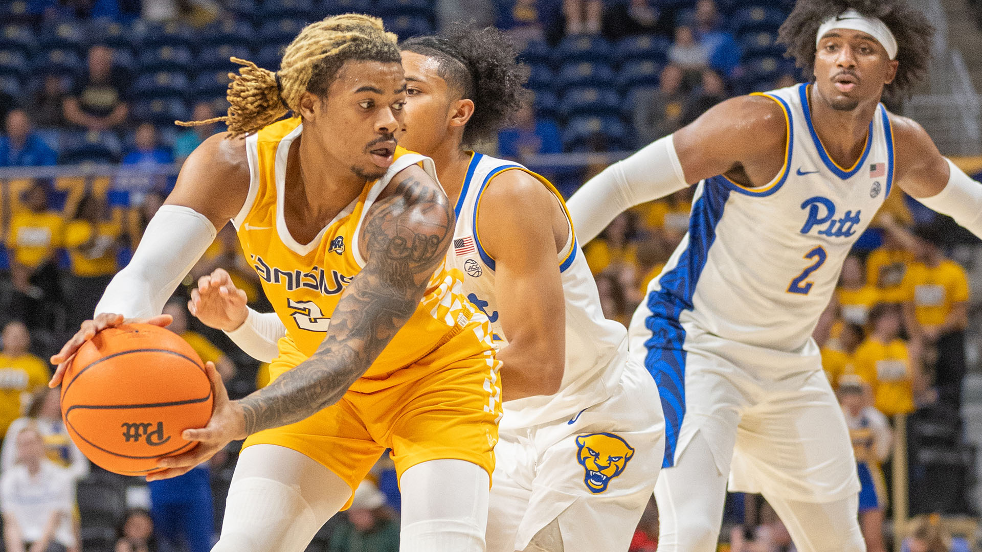 TJ Porter - Men's Basketball - Canisius University Athletics