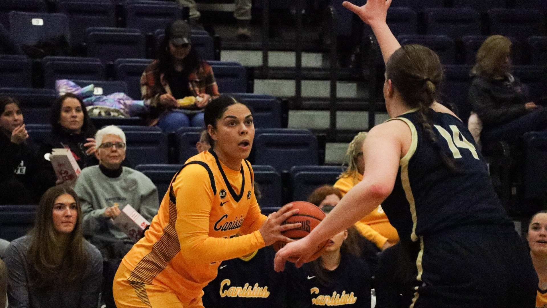 Tihanna Fulton - Women's Basketball - Canisius University Athletics