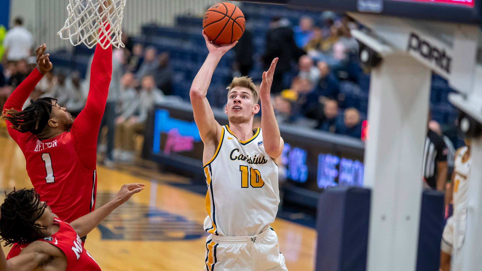 Jacco Fritz - Men's Basketball - Canisius University Athletics