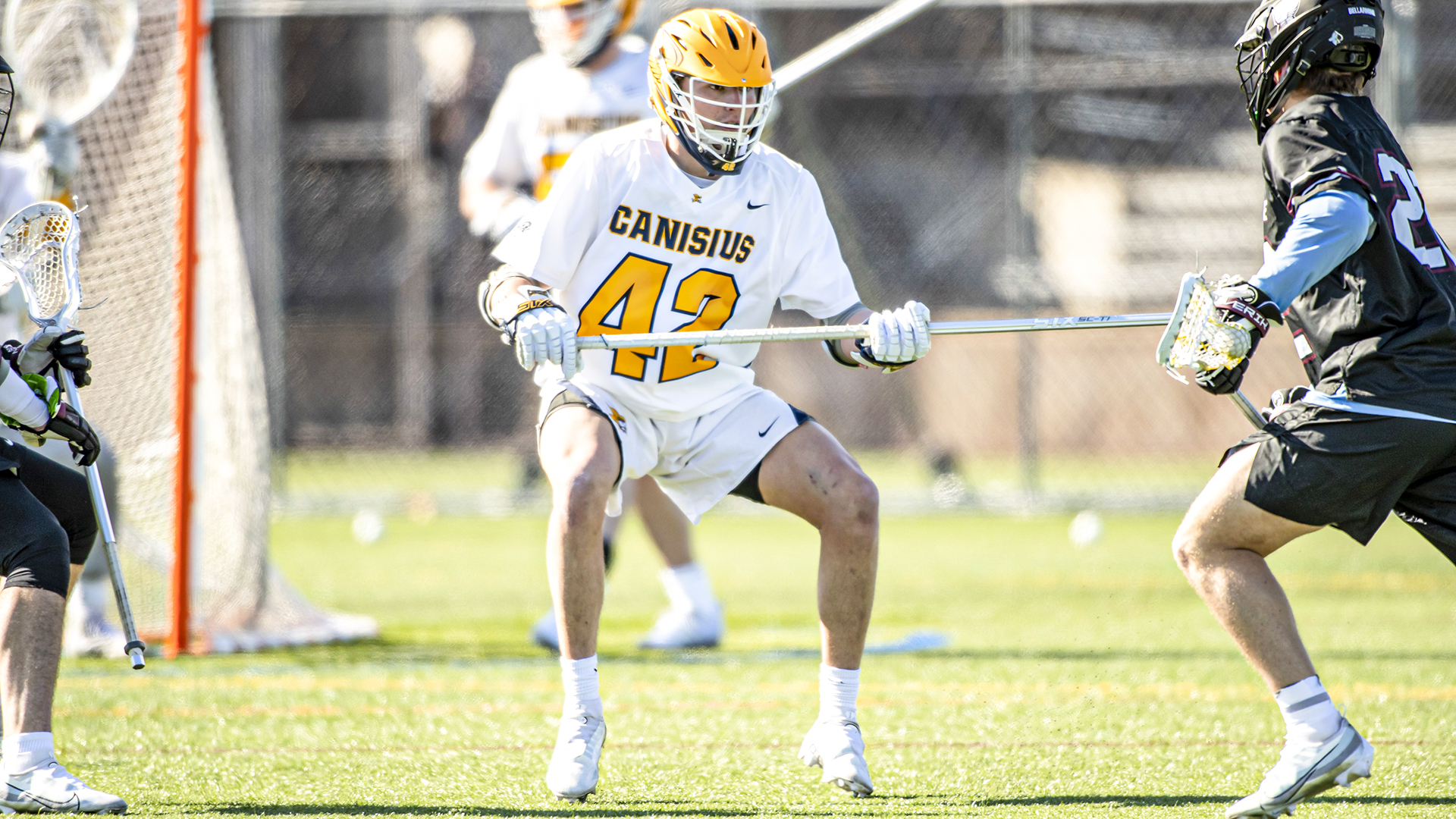 Chance Cook - Men's Lacrosse - Canisius University Athletics